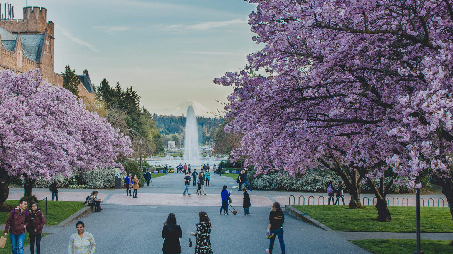 Effective Data Visualization Strategies For Higher Education Gemini Data